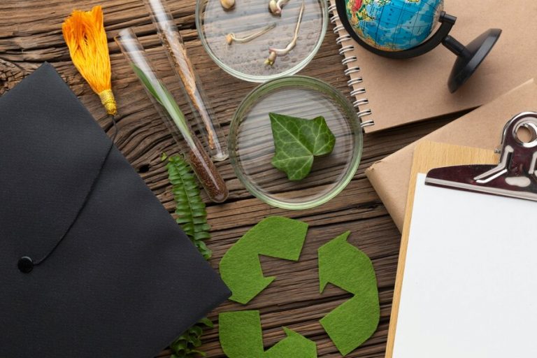 Sustainable Living: Optimal Waste Management Strategies