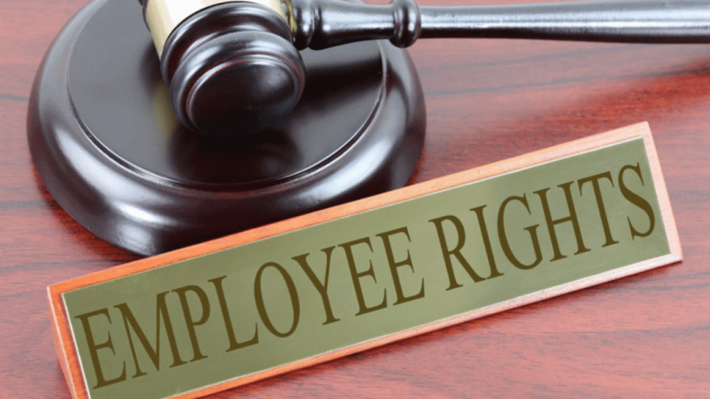 Why Must You Understand The Employee Legal Rights?